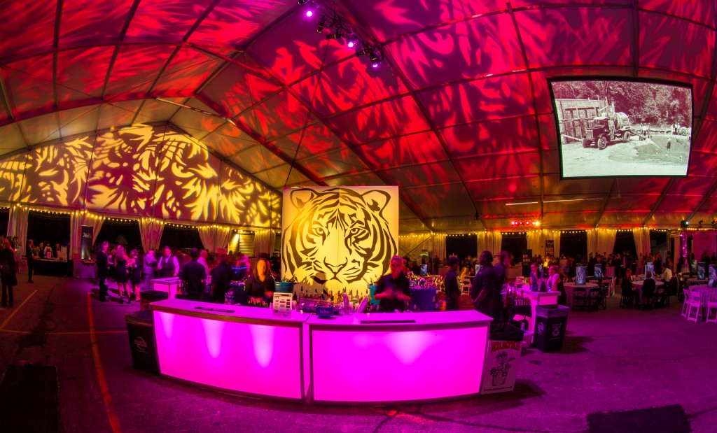 Photo Gallery – Accent on Cincinnati