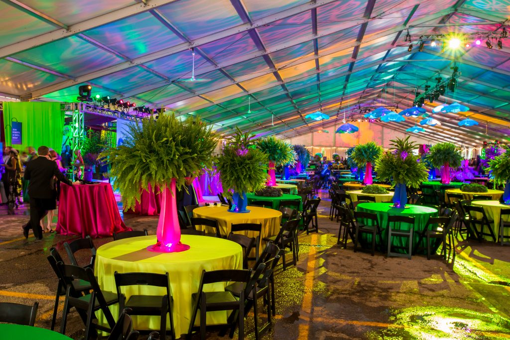 Photo Gallery – Accent on Cincinnati